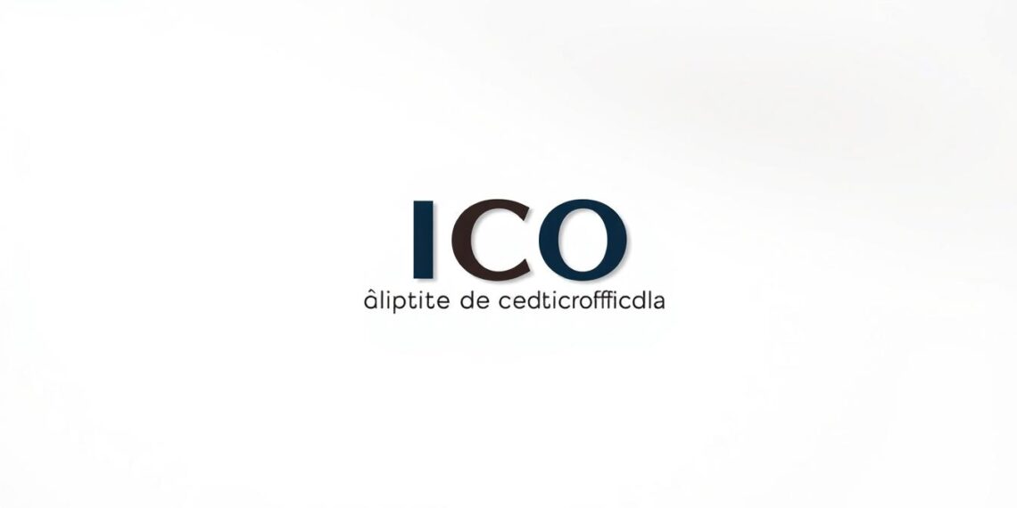 ICO (Instituto de Crédito Oficial) – ¿Cuál es la definición y la ...